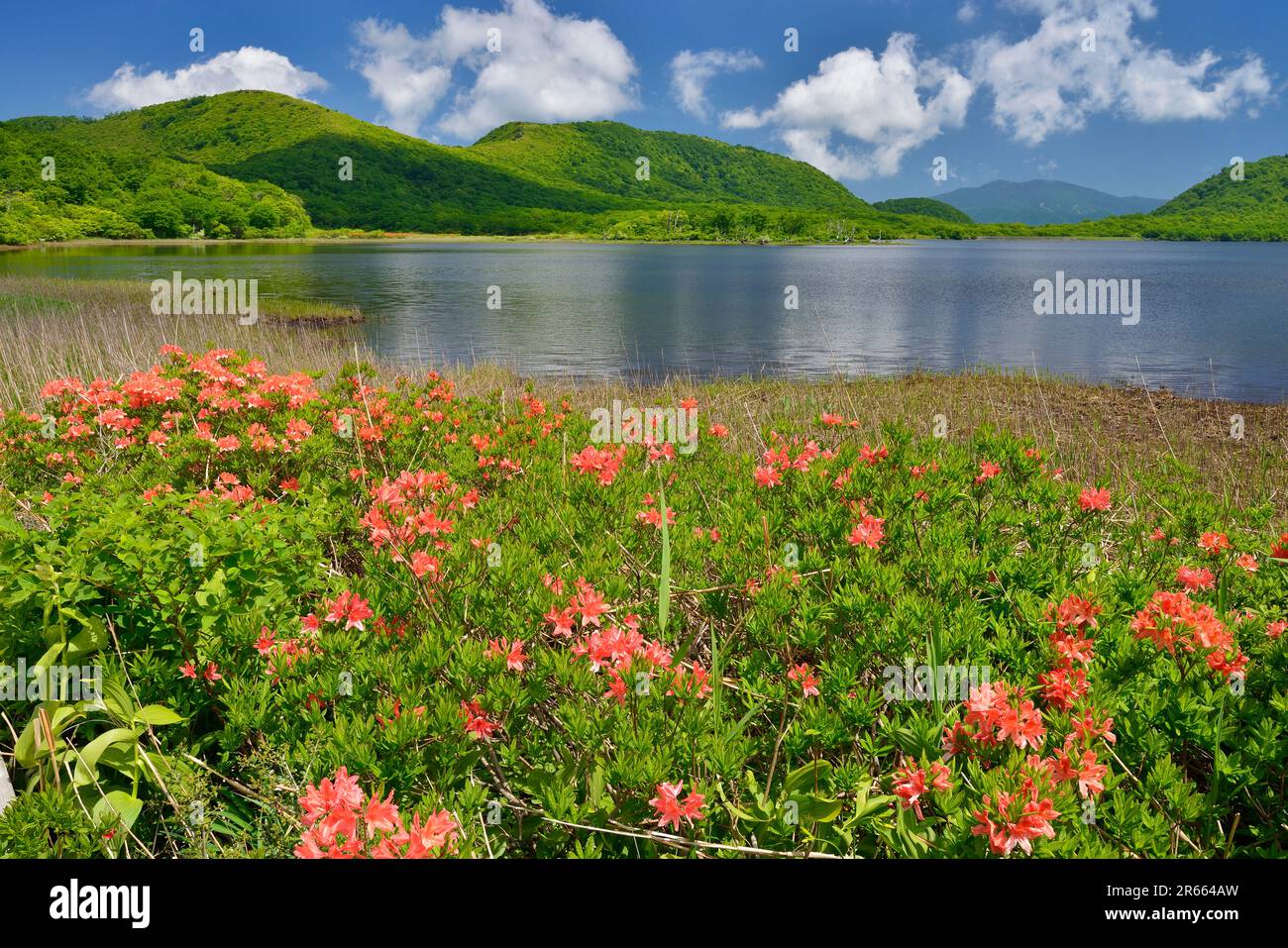 June hiking hi-res stock photography and images - Alamy