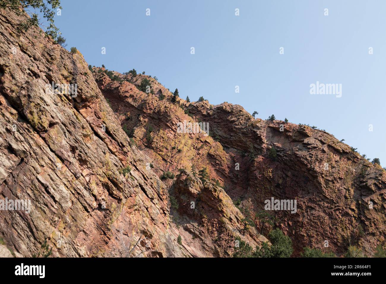 View of landscape, trees, and flora, natural gorge outside Boulder ...