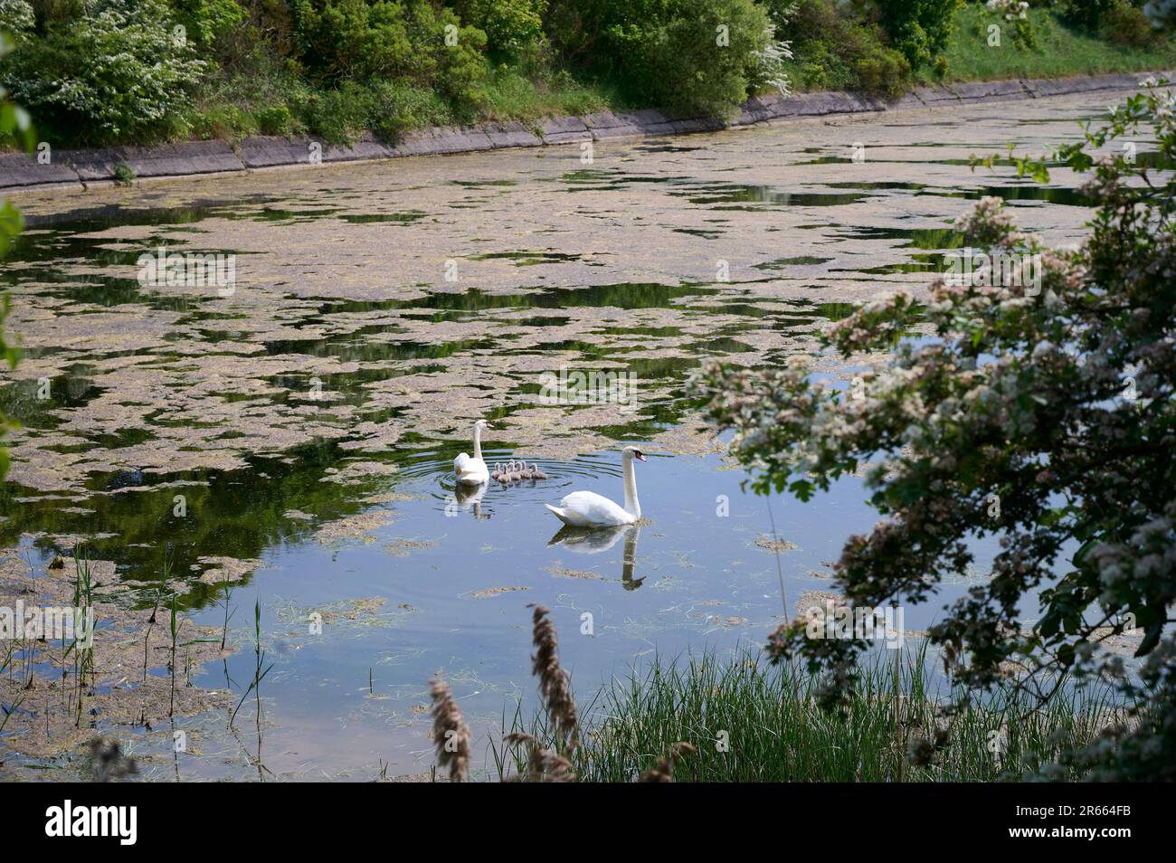 Ici thornton cleveleys hi-res stock photography and images - Alamy