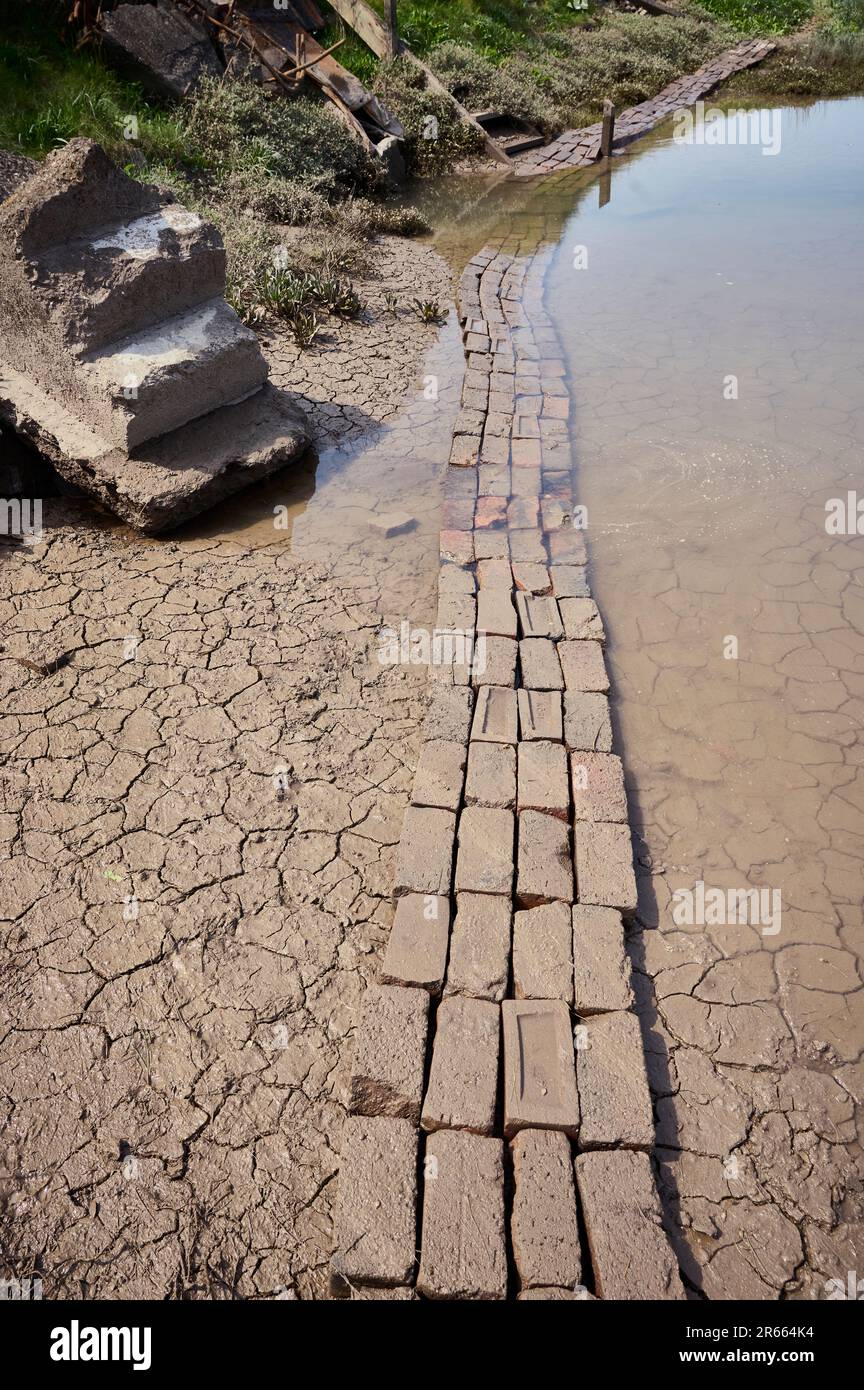 Improvised brick footpath over mud and water on edge of small lake ...