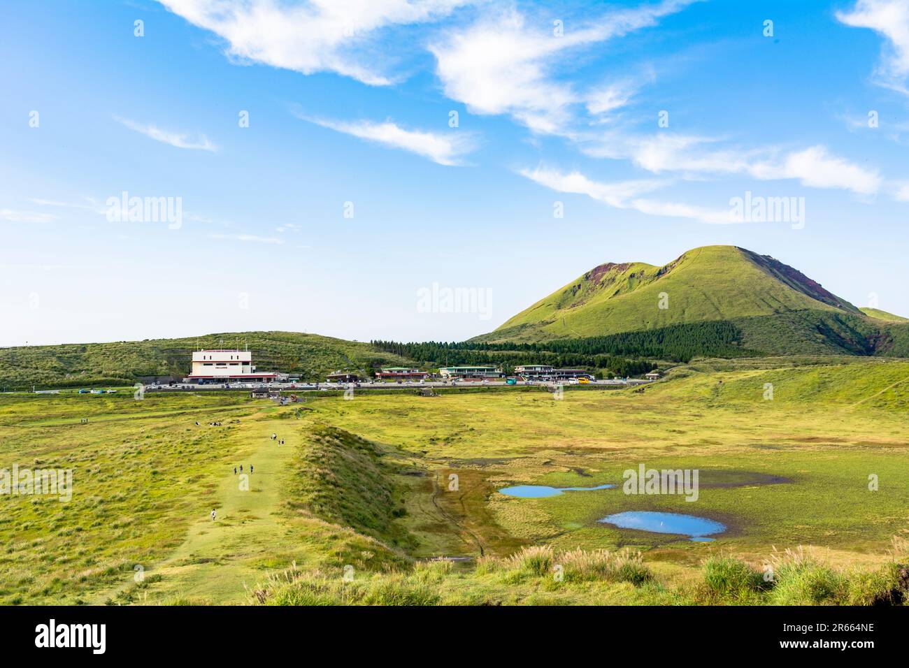 Grass chisato hi-res stock photography and images - Alamy
