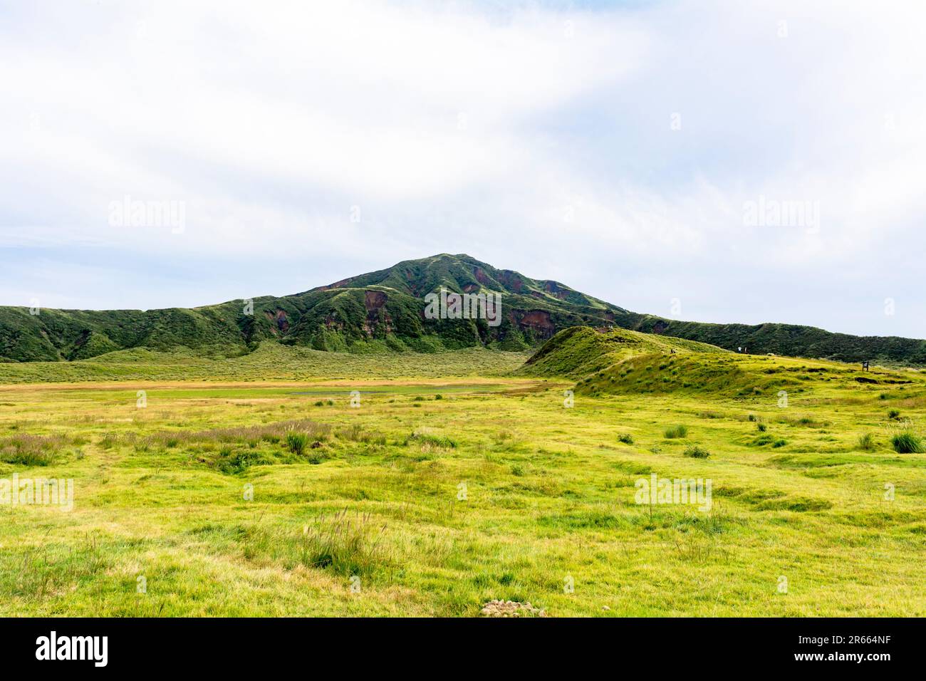 Grass chisato hi-res stock photography and images - Alamy