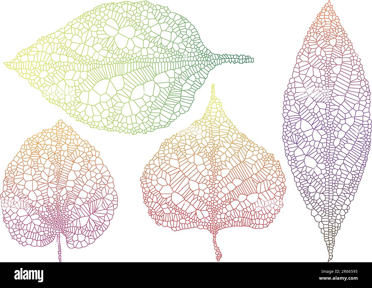 set of textured autumn leaves, vector background Stock Vector Image ...