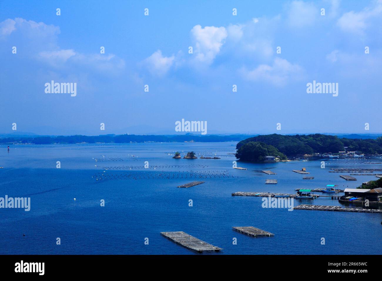 Ago bay farming pearl hi-res stock photography and images - Alamy