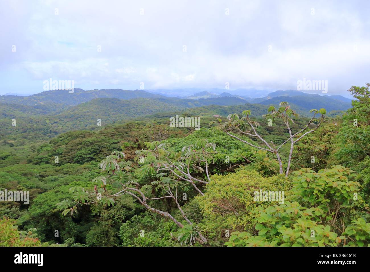 aerial photo of monteverde national park in costa rica, famous cloud ...