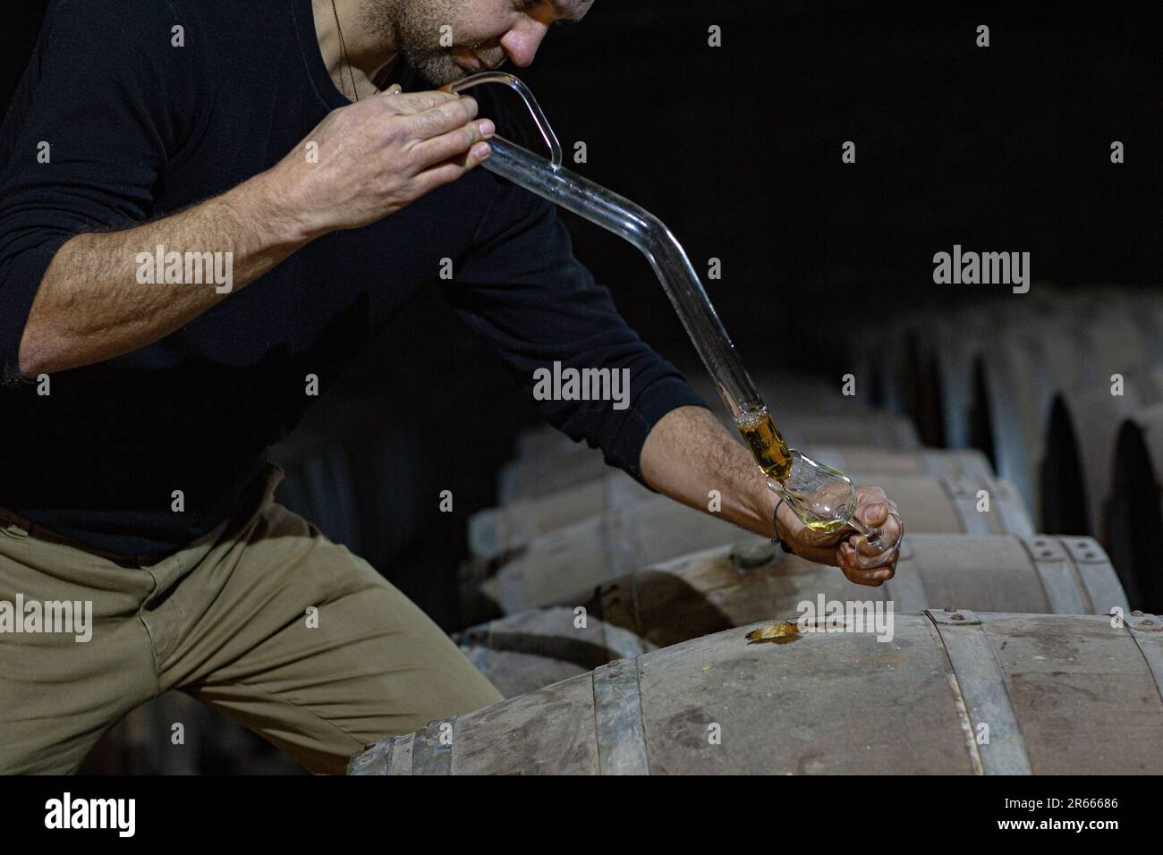 Whisky sample cask hi-res stock photography and images - Alamy