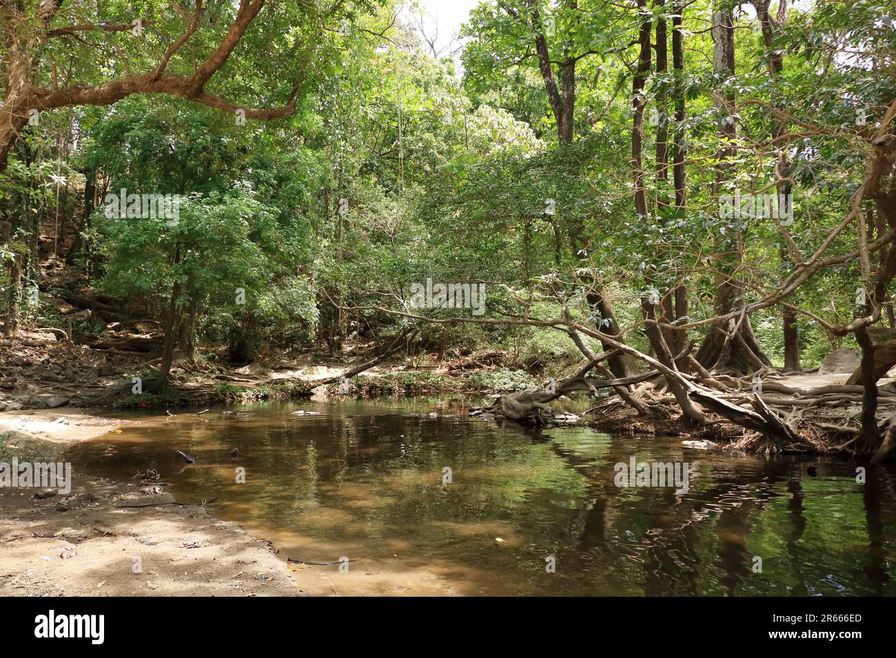 a view of the idyllic Llano de Cortes waterfall near Bagaces, Costa ...