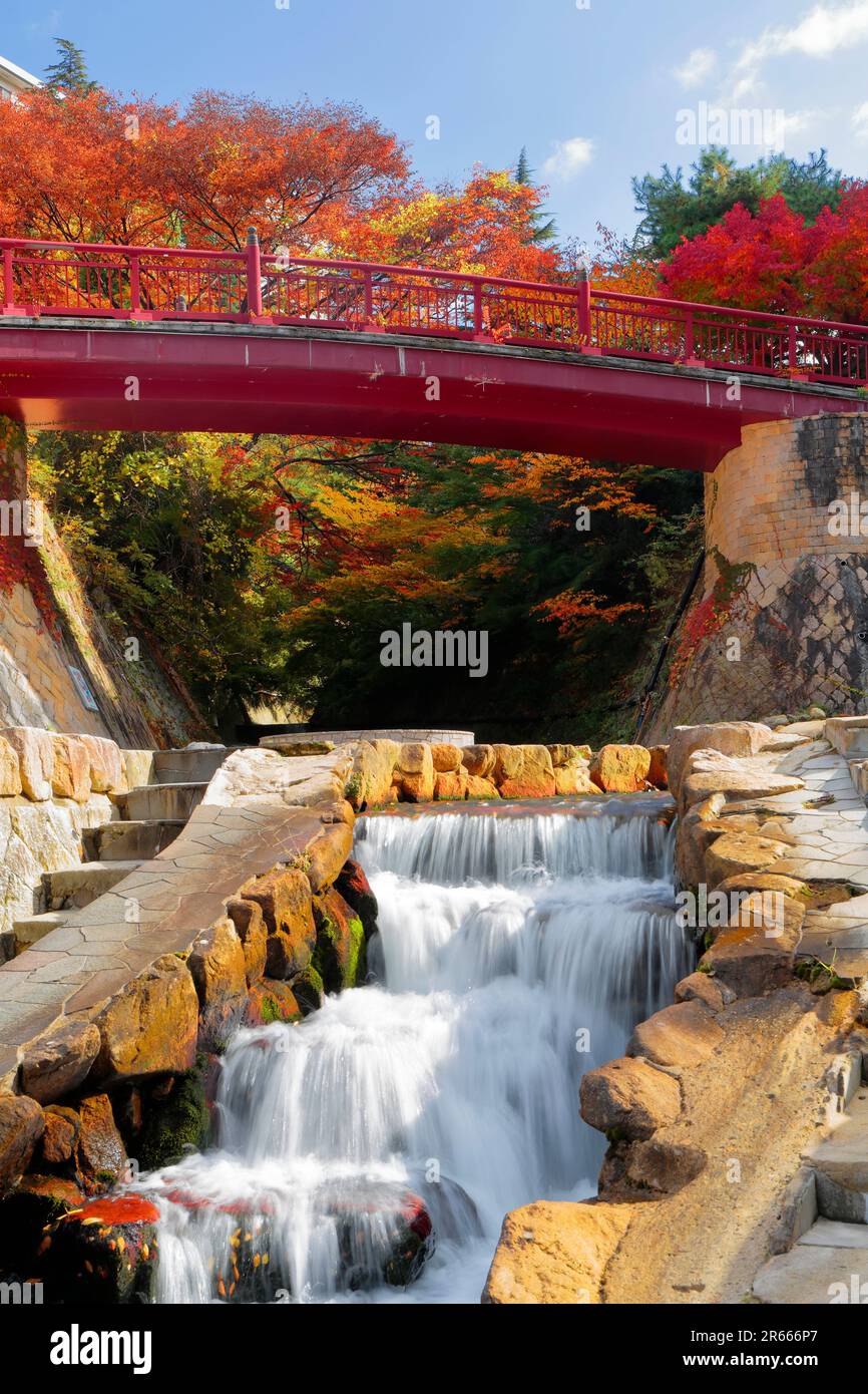 Autumn leaves in Arima Onsen Stock Photo - Alamy