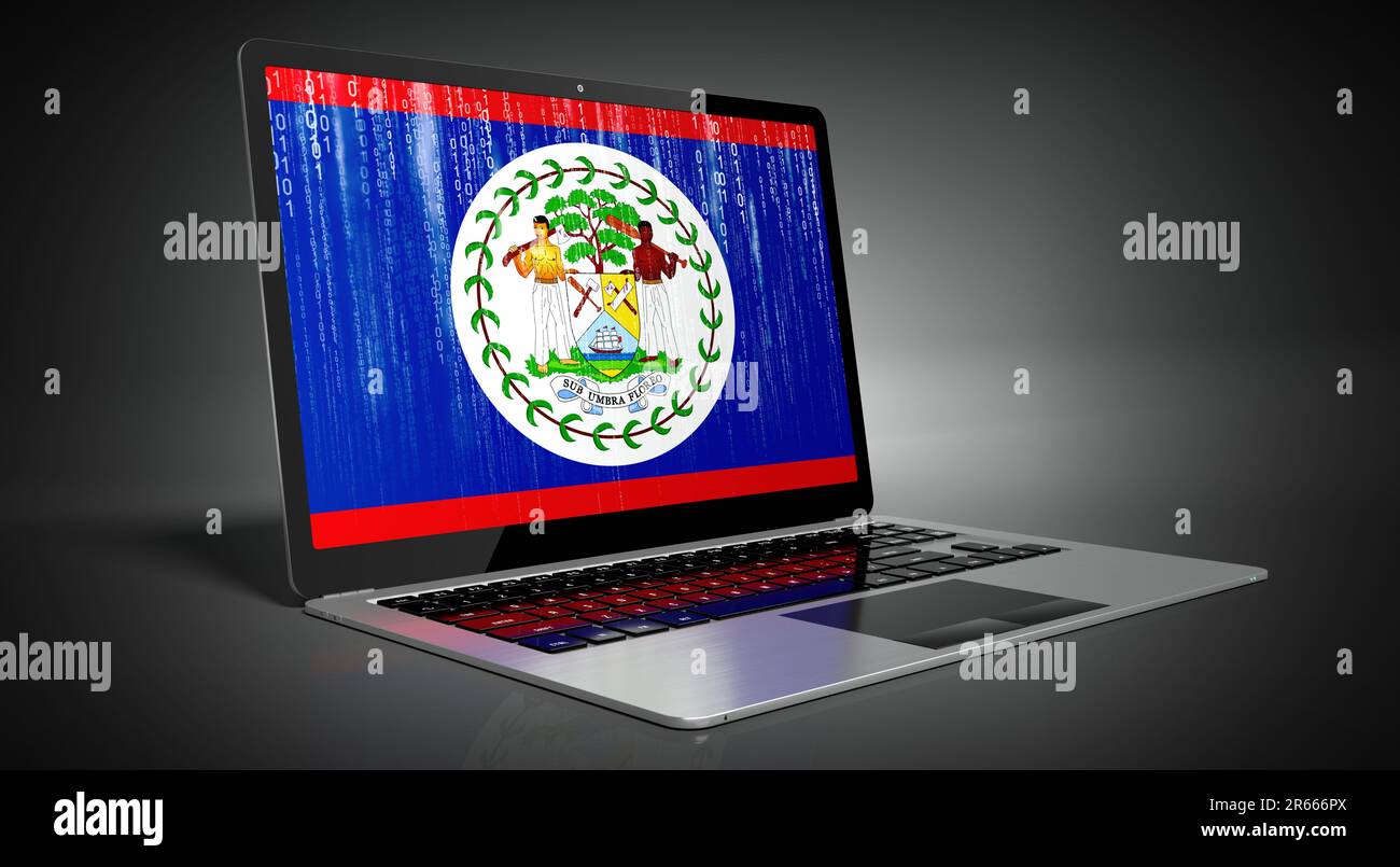 Belize - country flag and binary code on laptop screen - 3D ...