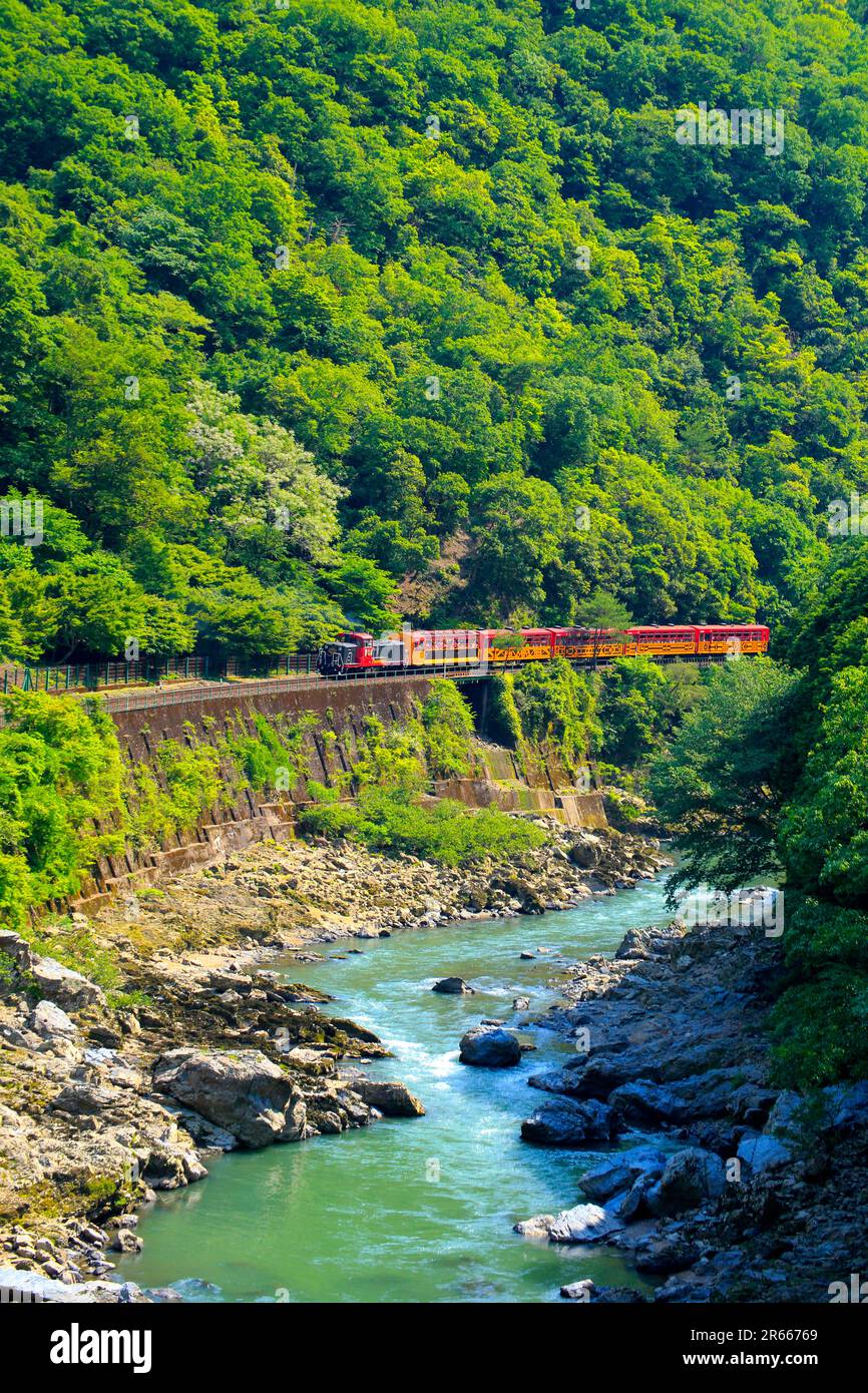 Sagano trolley train in the season of fresh green Stock Photo - Alamy