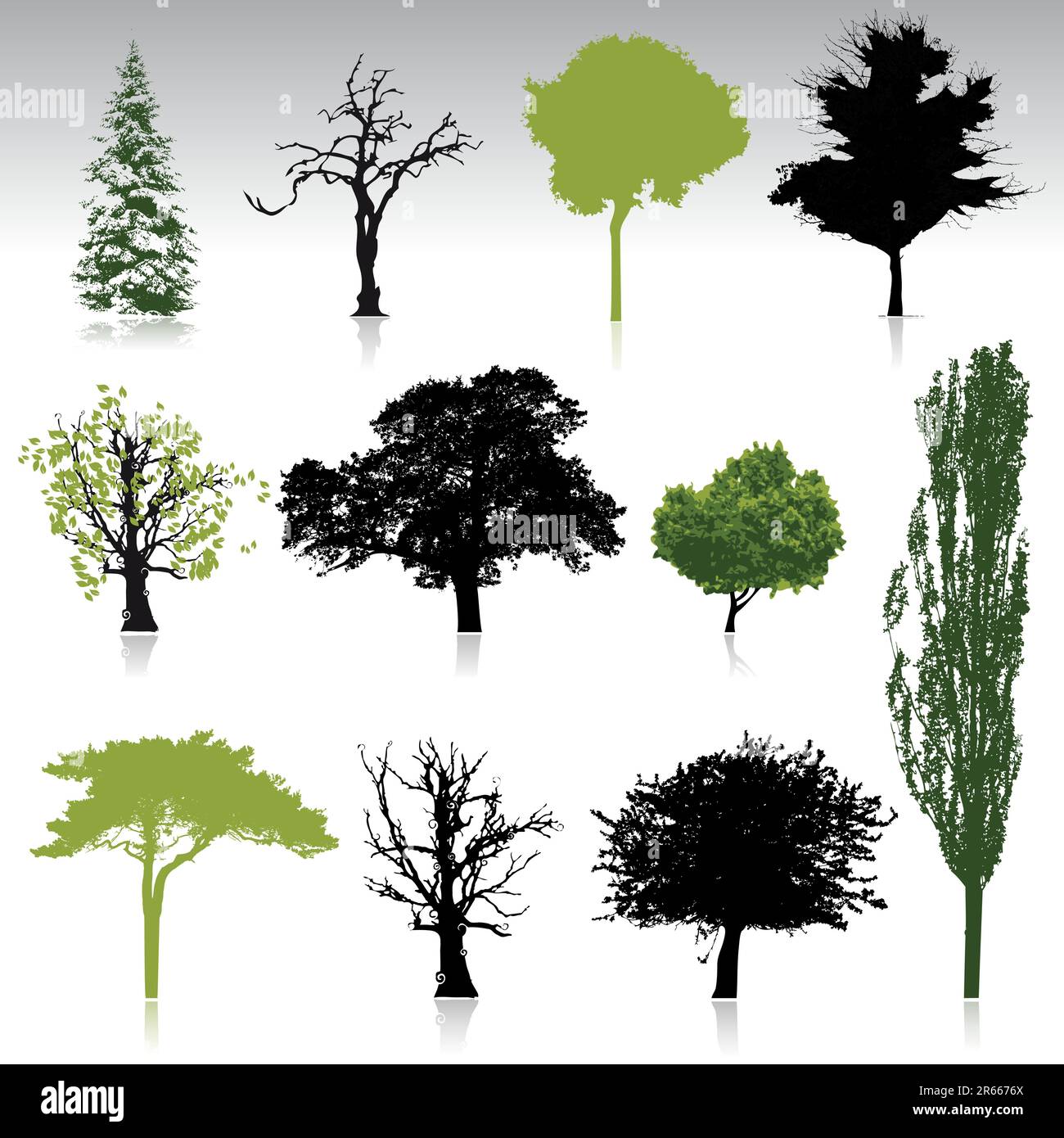 Trees collection for your design Stock Vector Image & Art - Alamy