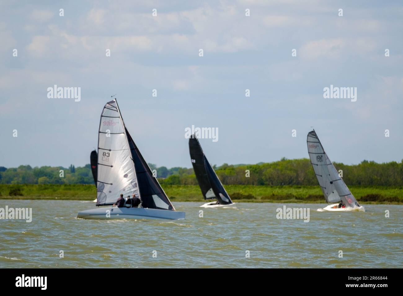 Sailing on River Crouch Stock Photo - Alamy