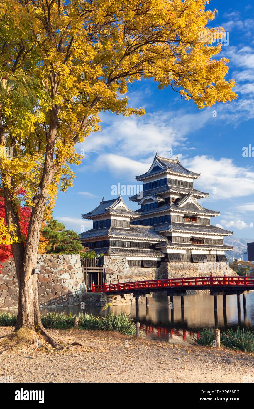 Yellow Leaves and Matsumoto Castle Stock Photo - Alamy