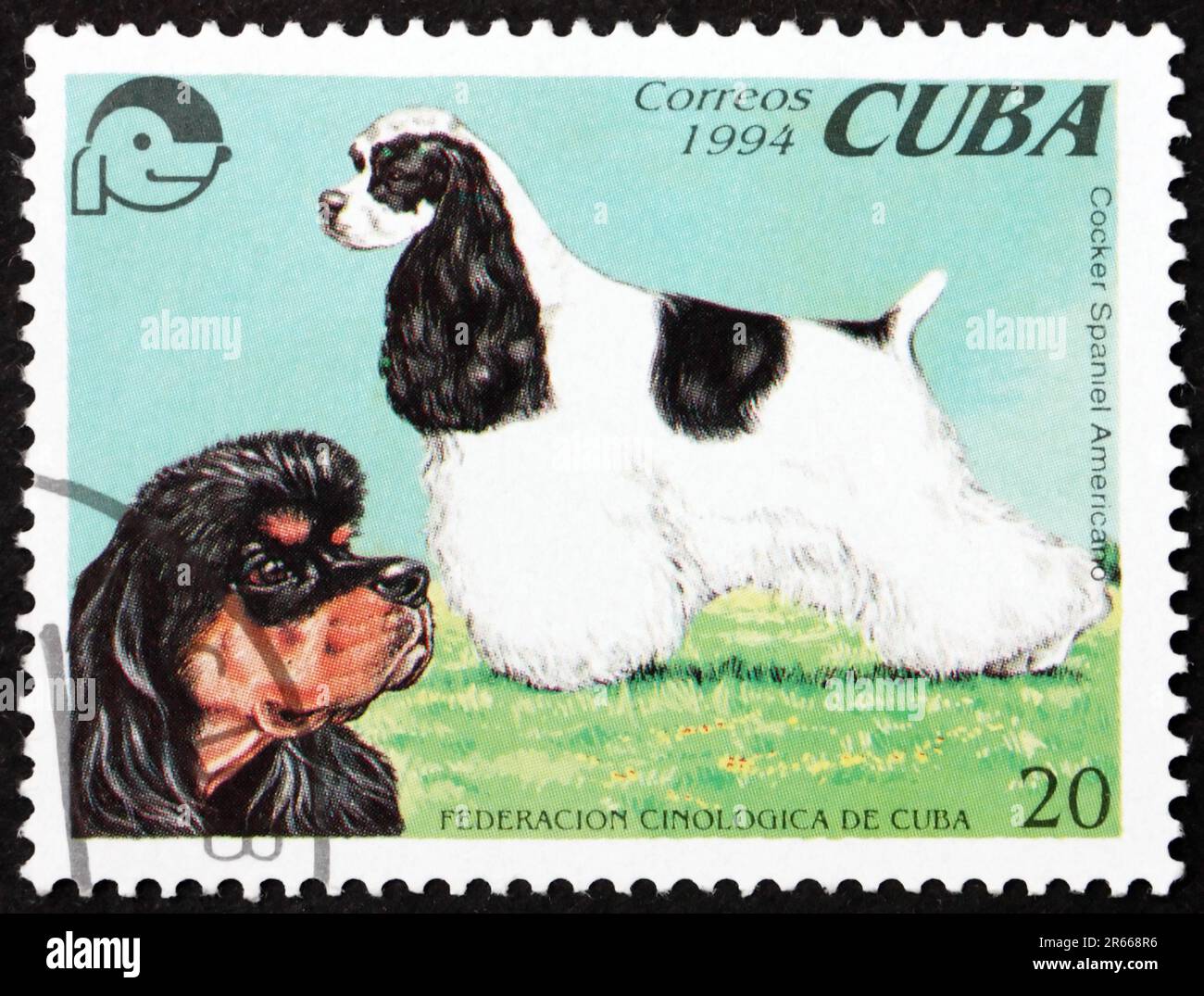 CUBA - CIRCA 1994: a stamp printed in Cuba shows American cocker ...