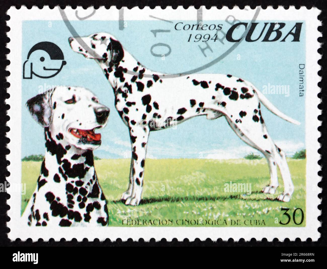 CUBA - CIRCA 1994: a stamp printed in Cuba shows Dalmatian, is a breed ...