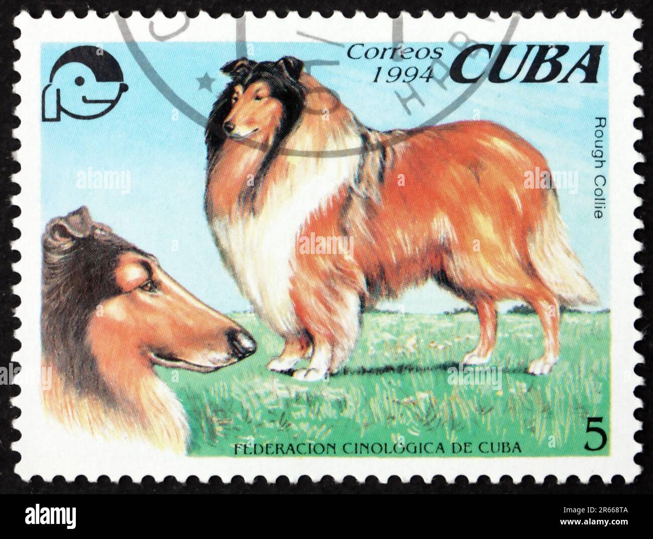CUBA - CIRCA 1994: a stamp printed in Cuba shows Rough collie, is a ...