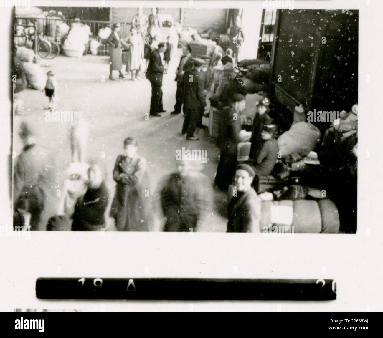 SS Photographer Bergmann, Johannes, Leibstandarte Adolf Hitler, France ...