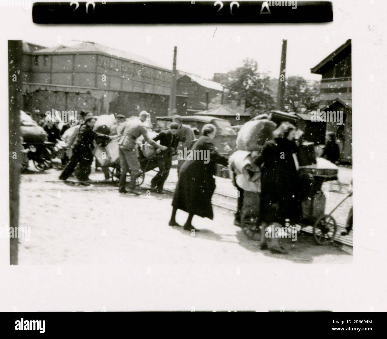SS Photographer Bergmann, Johannes, Leibstandarte Adolf Hitler, France ...