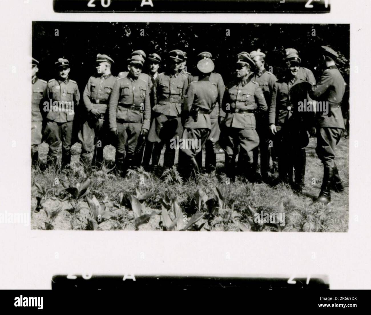 SS Photographer Bergmann, Johannes, Leibstandarte Adolf Hitler, France ...