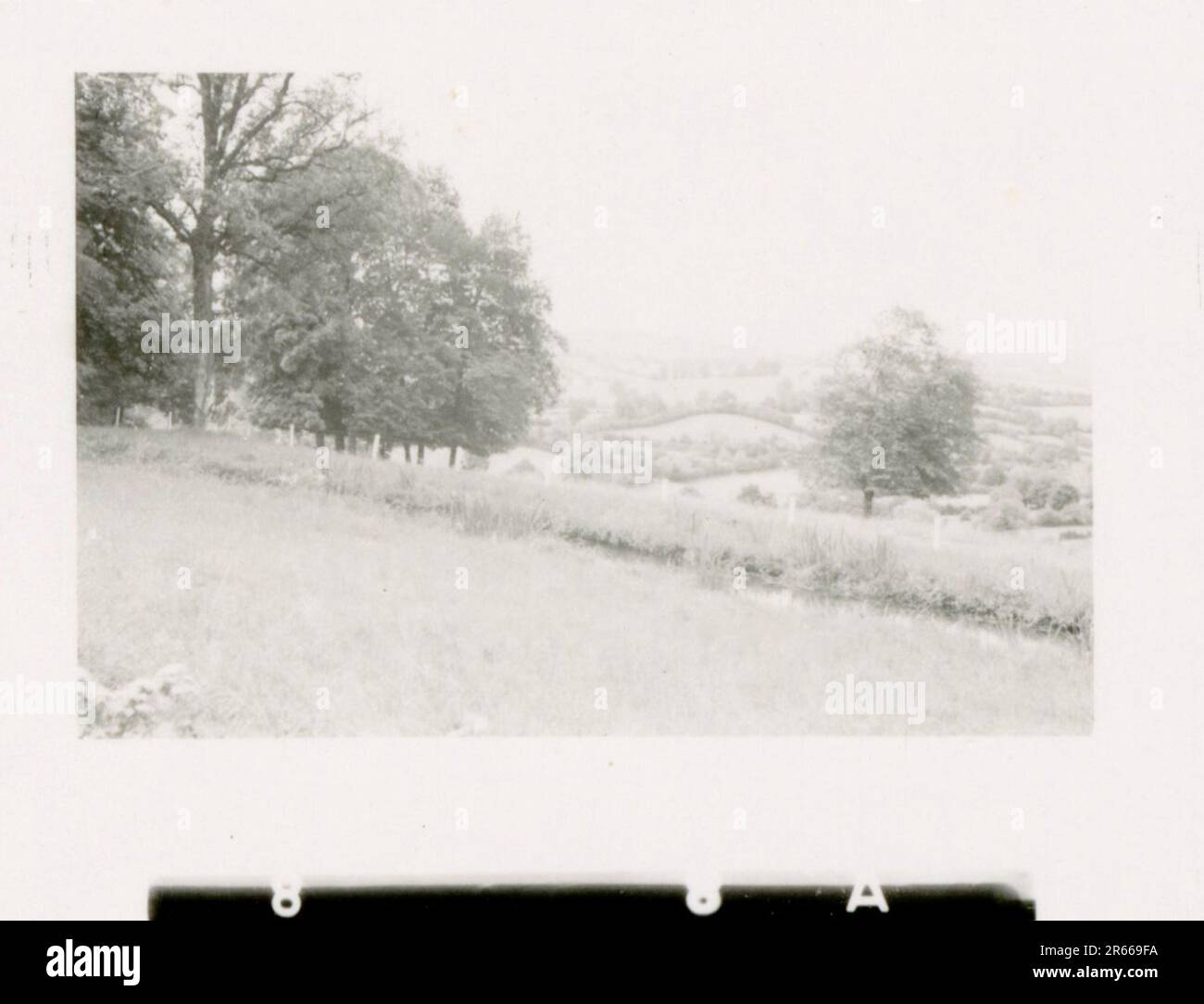 SS Photographer Bergmann, Johannes, Leibstandarte Adolf Hitler, France ...