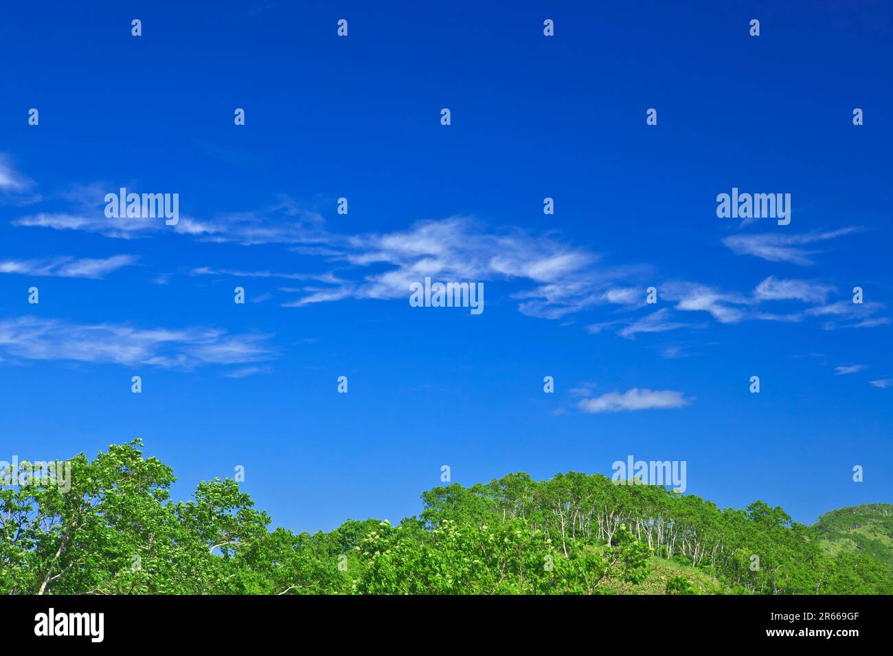 2011 july summer cloud clouds sky hi-res stock photography and images ...