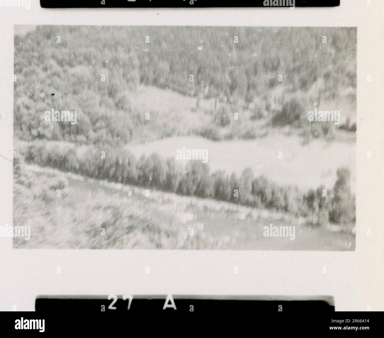 SS Photographer Bergmann, Johannes, Leibstandarte Adolf Hitler, France ...