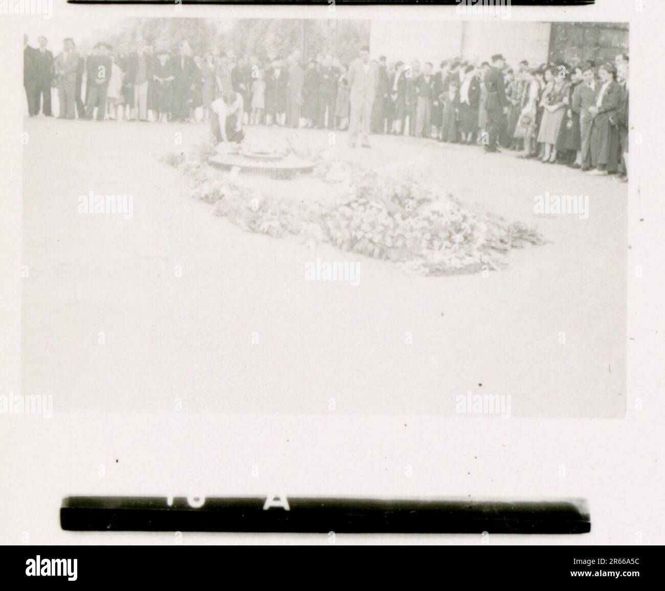 SS Photographer Bergmann, Johannes, Leibstandarte Adolf Hitler, France ...