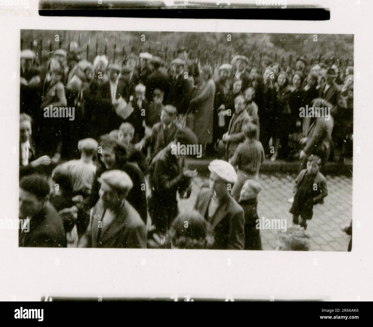 SS Photographer Bergmann, Johannes, Leibstandarte Adolf Hitler, France ...