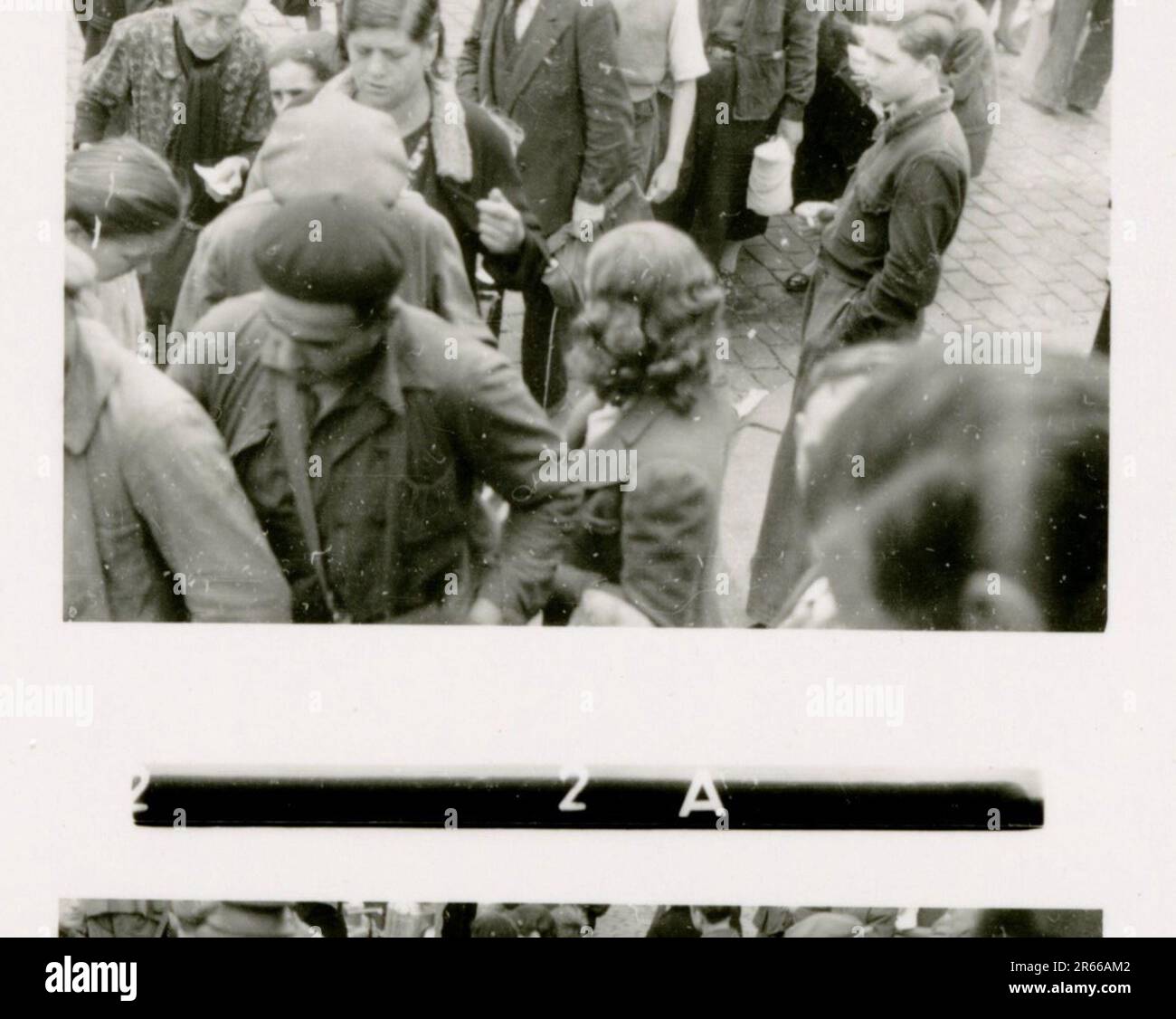 SS Photographer Bergmann, Johannes, Leibstandarte Adolf Hitler, France ...