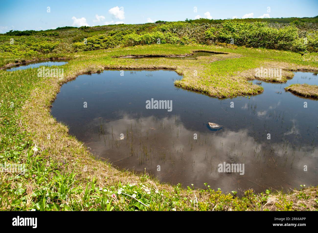 Mt. Gassan Midagahara Marsh Stock Photo - Alamy