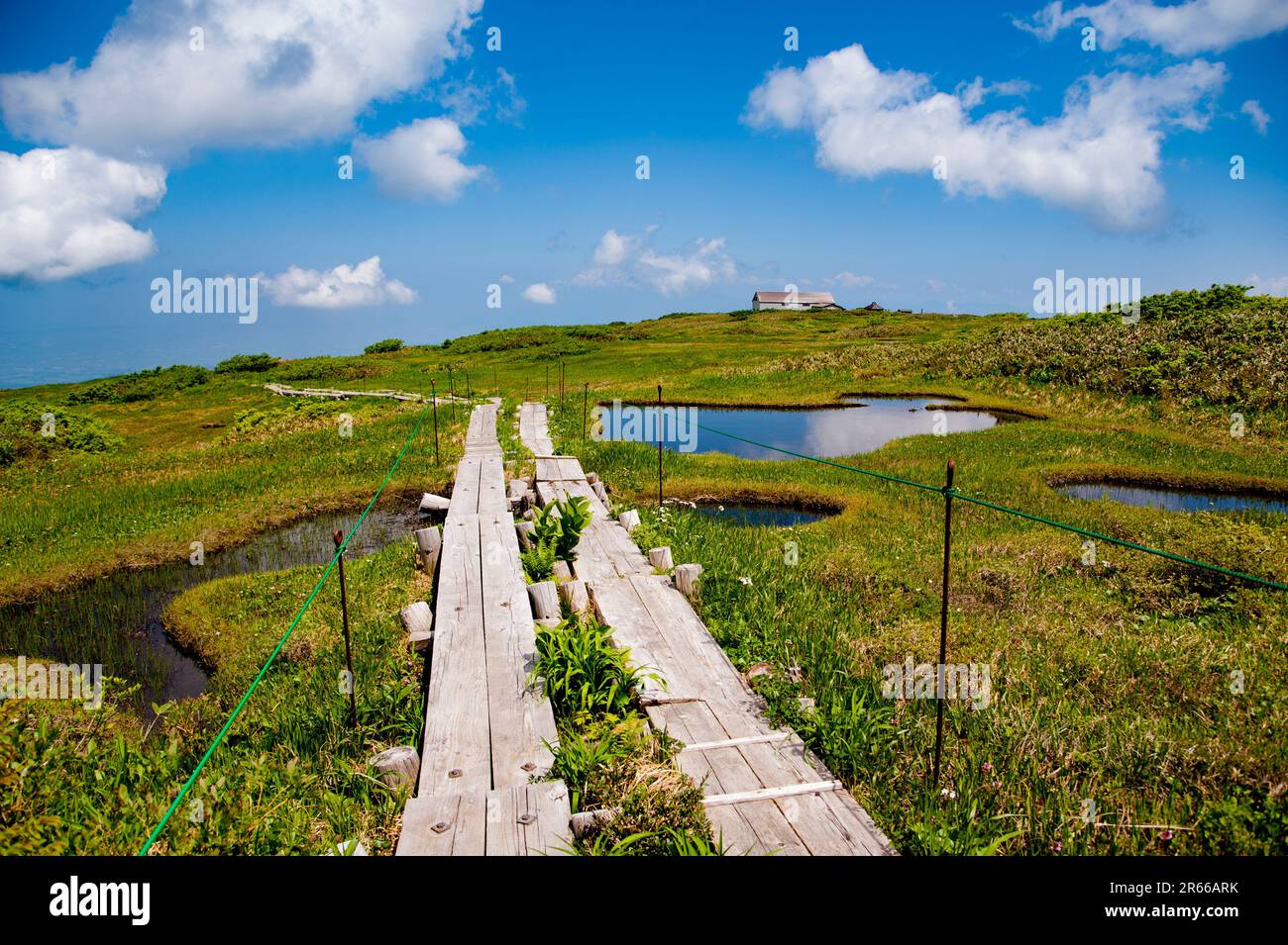 Mt. Gassan Midagahara Marsh Stock Photo - Alamy