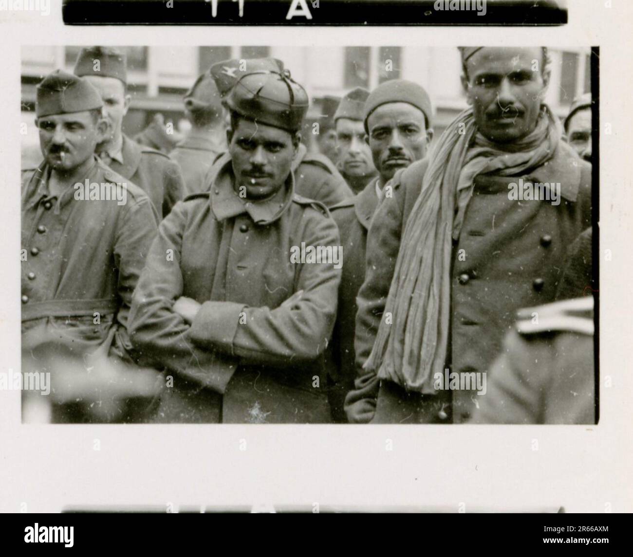 SS Photographer Bergmann, Johannes, Leibstandarte Adolf Hitler, France ...