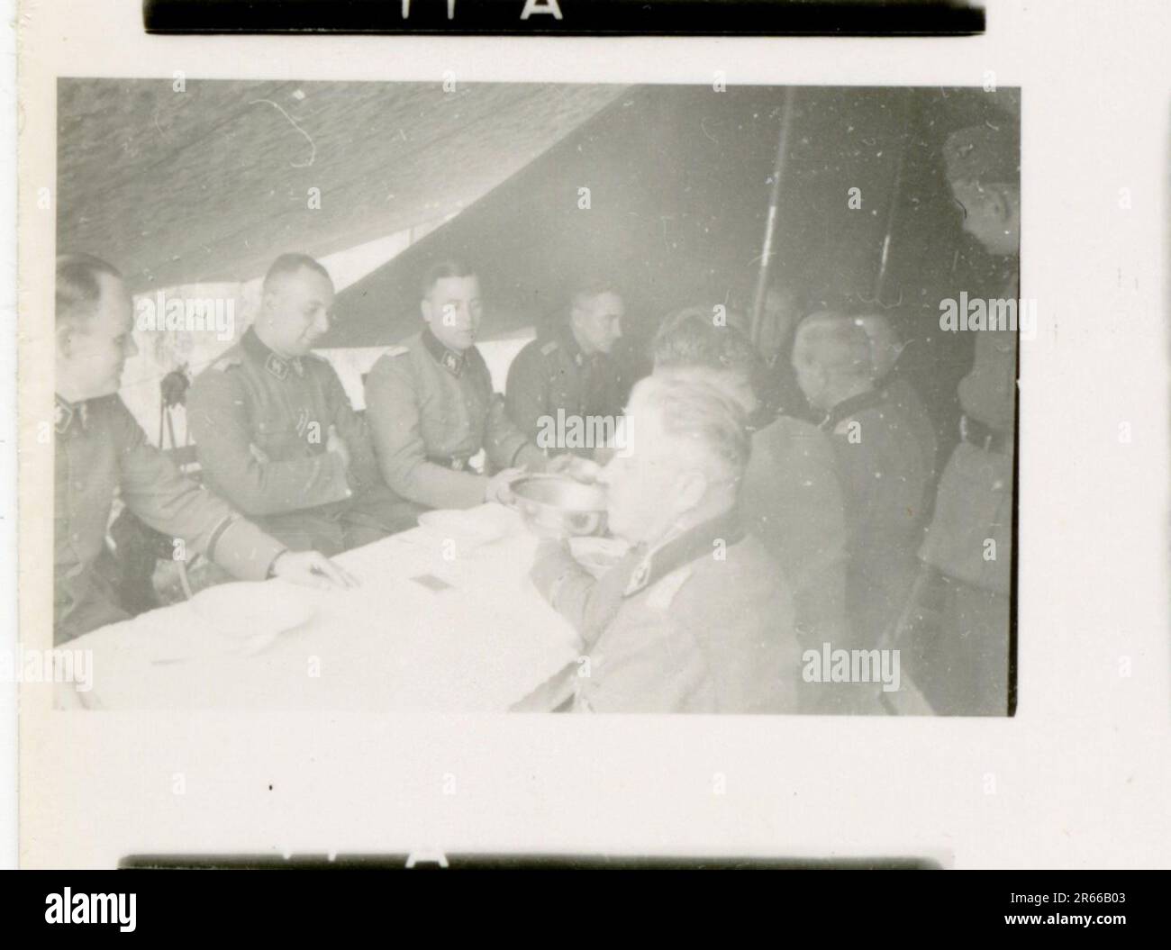 SS Photographer Bergmann, Johannes, Leibstandarte Adolf Hitler, France ...
