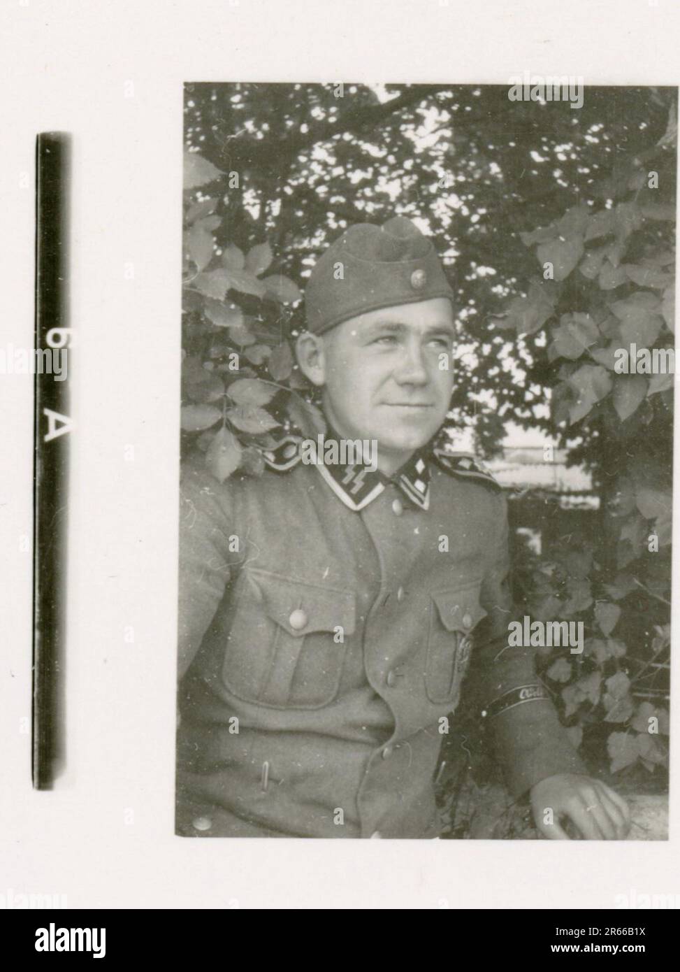 SS Photographer Bergmann, Johannes, Leibstandarte Adolf Hitler, France ...