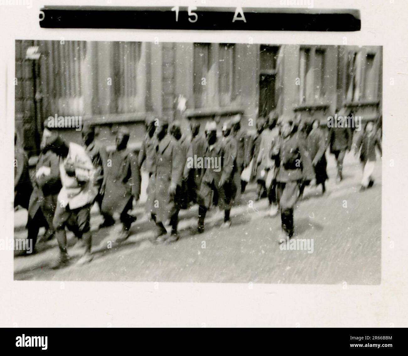 SS Photographer Bergmann, Johannes, Leibstandarte Adolf Hitler, France ...