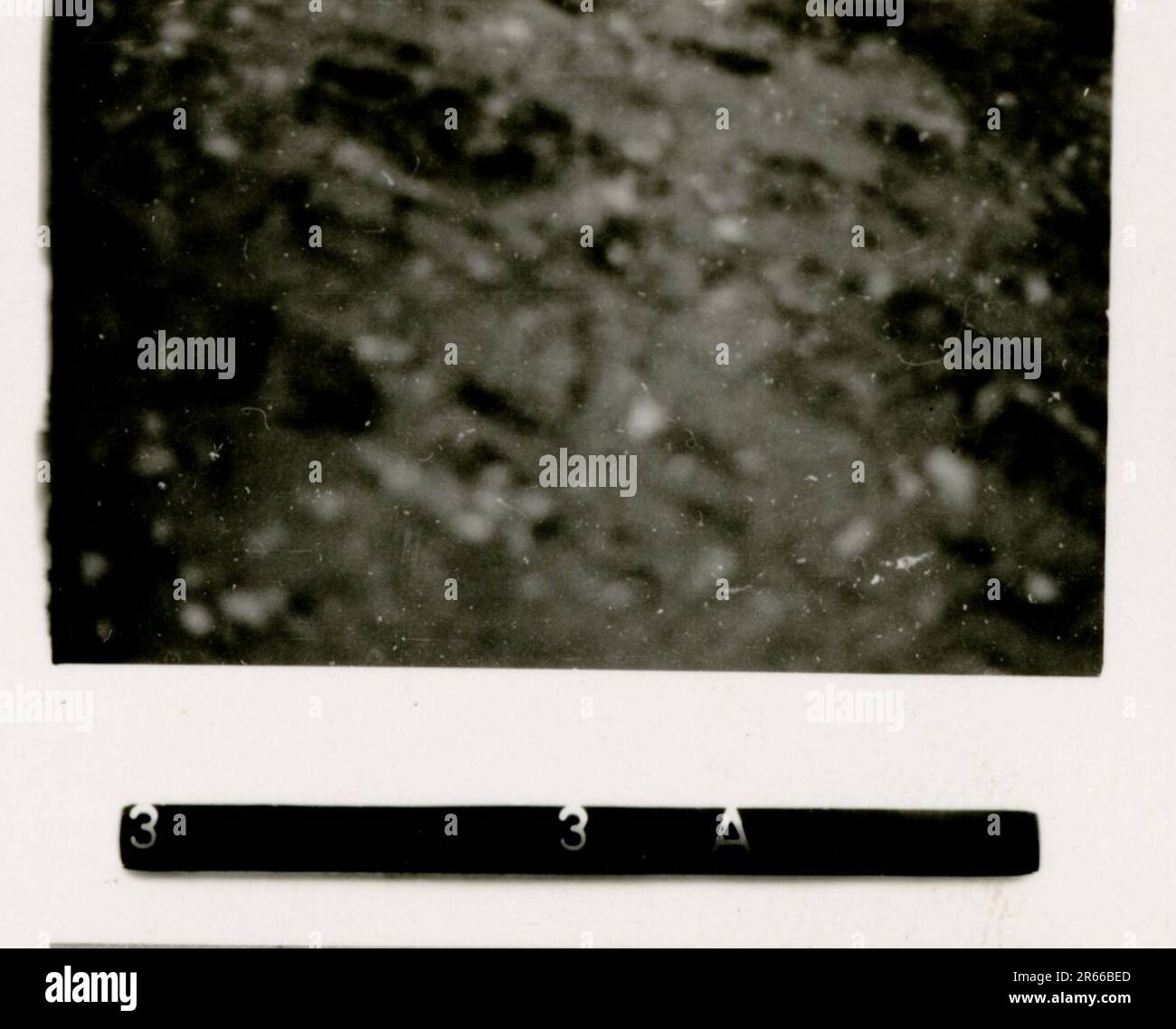 SS Photographer Bergmann, Johannes, Leibstandarte Adolf Hitler, France ...