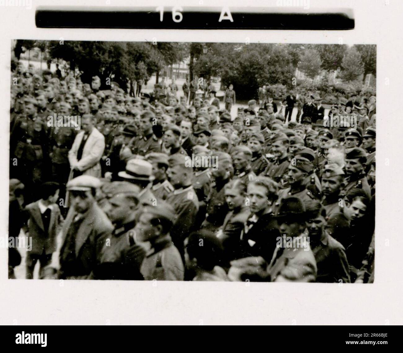 SS Photographer Bergmann, Johannes, Leibstandarte Adolf Hitler, France ...