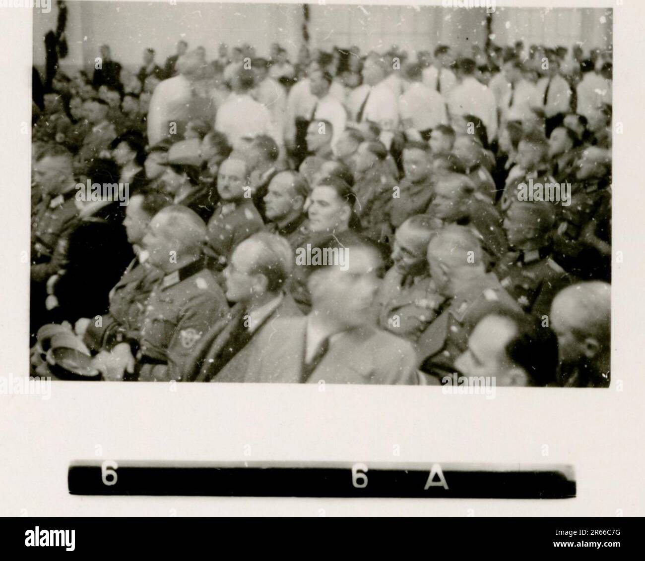 SS Photographer Bergmann, Johannes, Leibstandarte Adolf Hitler, France ...