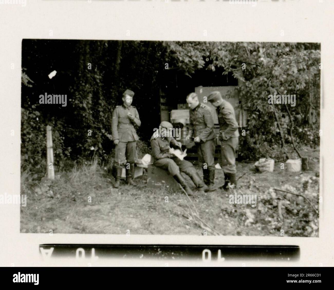 SS Photographer Bergmann, Johannes, Leibstandarte Adolf Hitler, France ...