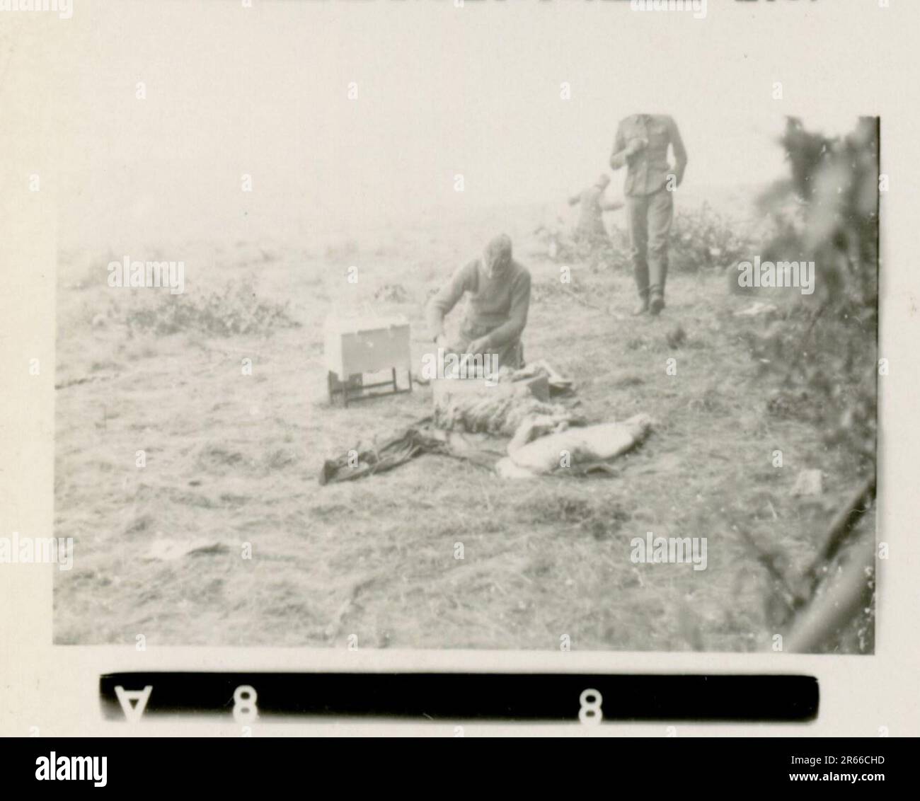 SS Photographer Bergmann, Johannes, Leibstandarte Adolf Hitler, France ...