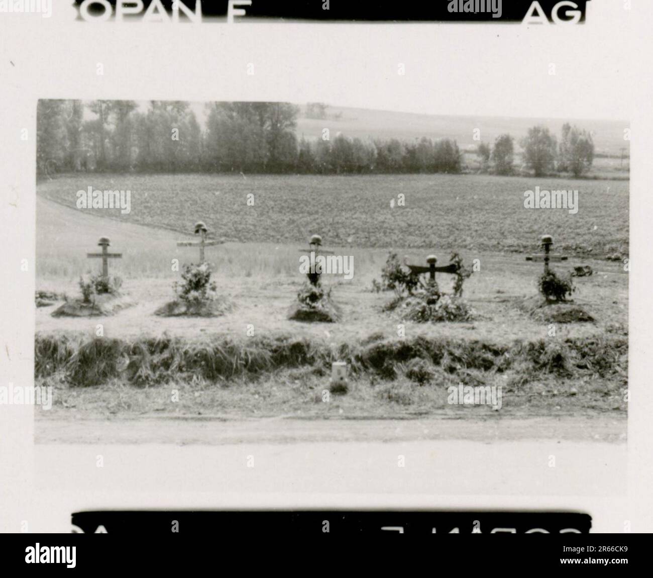 SS Photographer Bergmann, Johannes, Leibstandarte Adolf Hitler, France ...