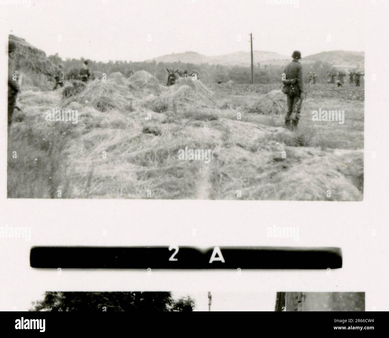 SS Photographer Bergmann, Johannes, Leibstandarte Adolf Hitler, France ...