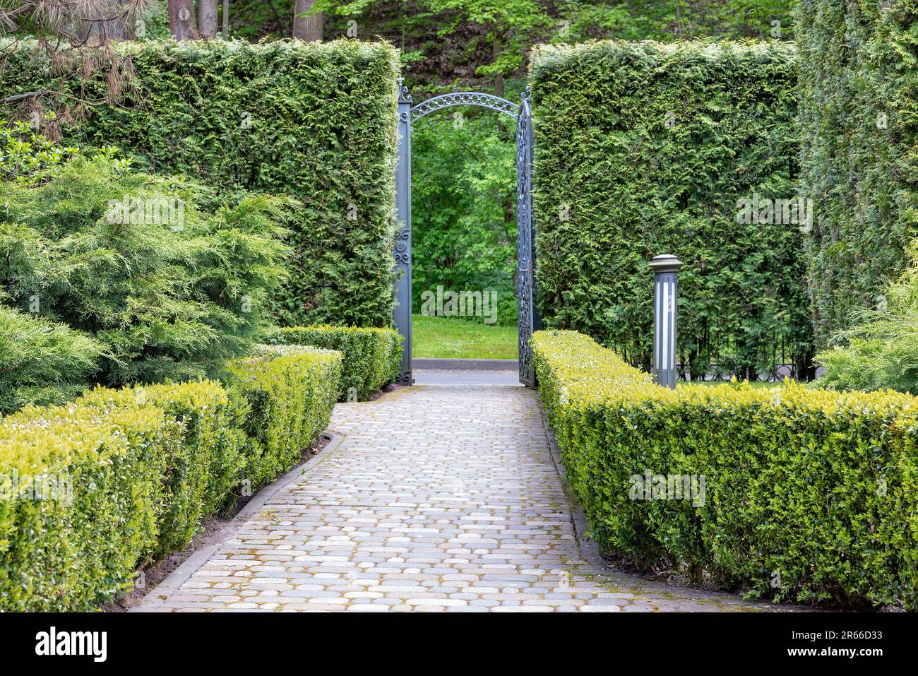 A stone garden path is framed by neatly trimmed bushes in the form of a ...
