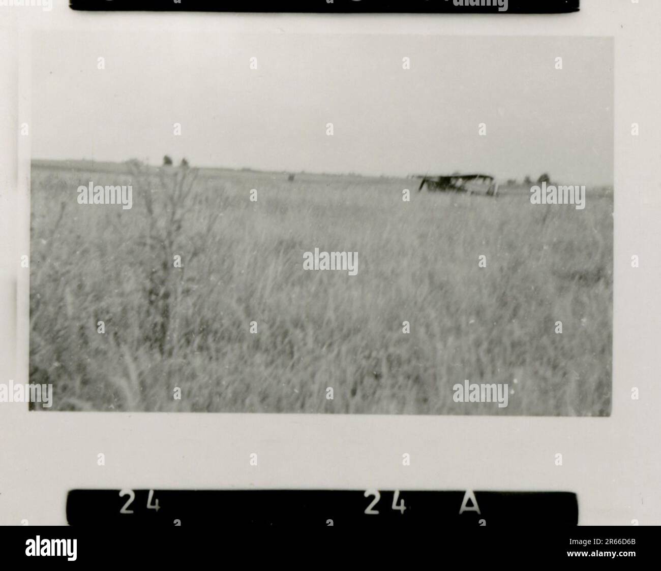 SS Photographer Bergmann, Johannes, Leibstandarte Adolf Hitler, France ...