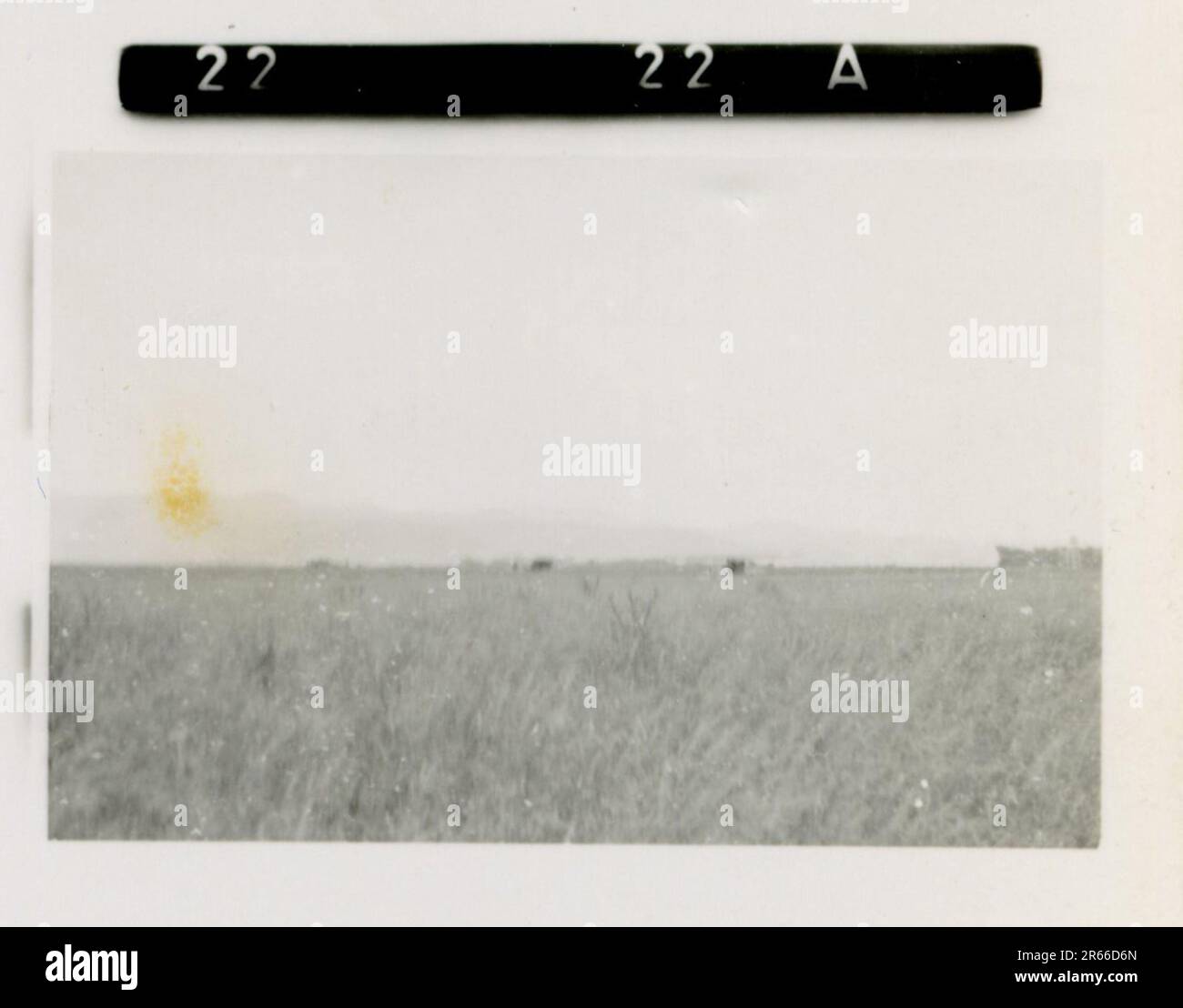 SS Photographer Bergmann, Johannes, Leibstandarte Adolf Hitler, France ...