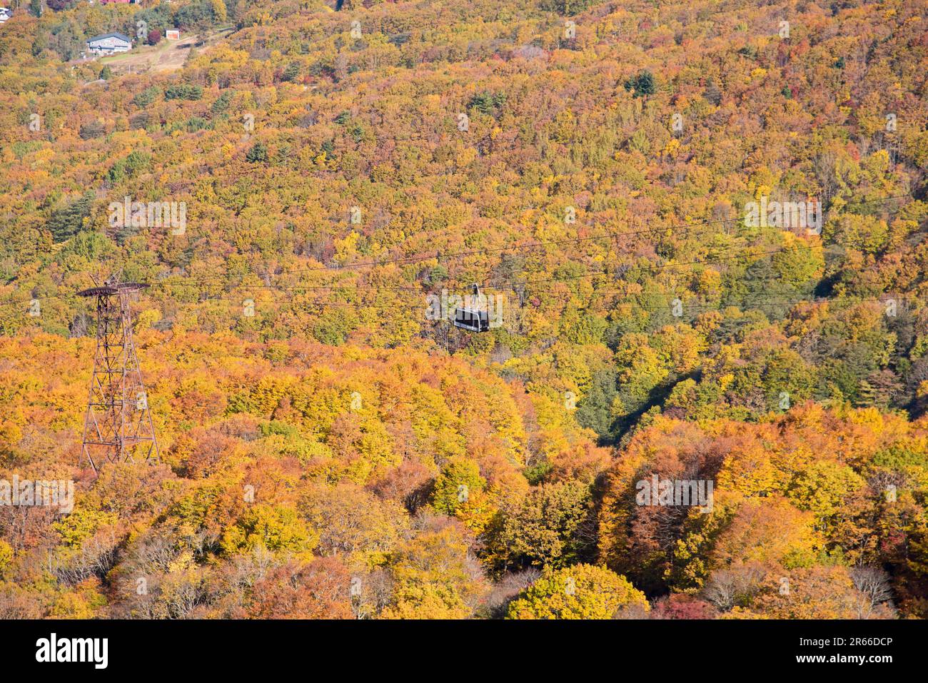 Zao Ropeway in autumn leaves Stock Photo - Alamy