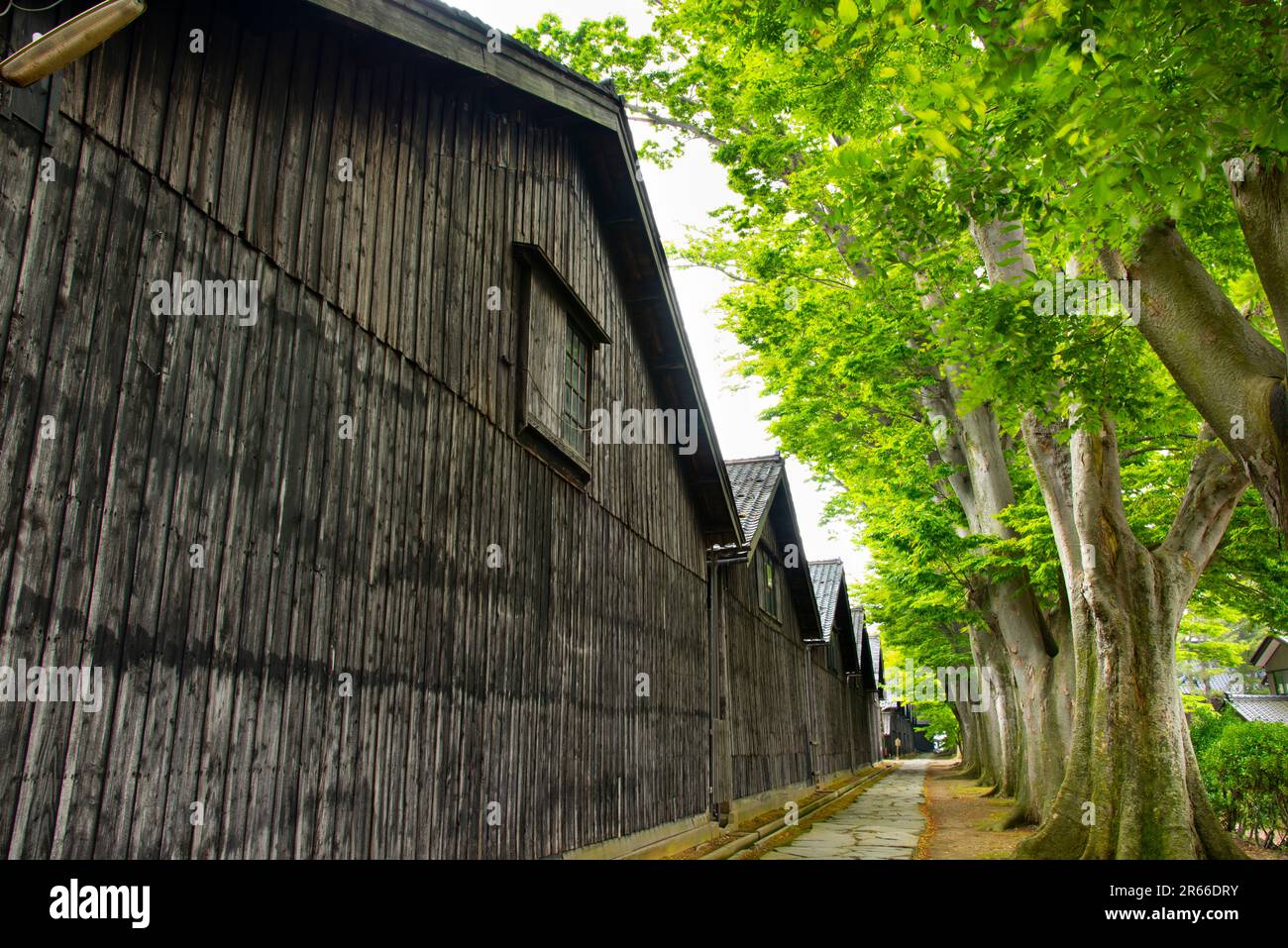 Storehouse tree hi-res stock photography and images - Alamy