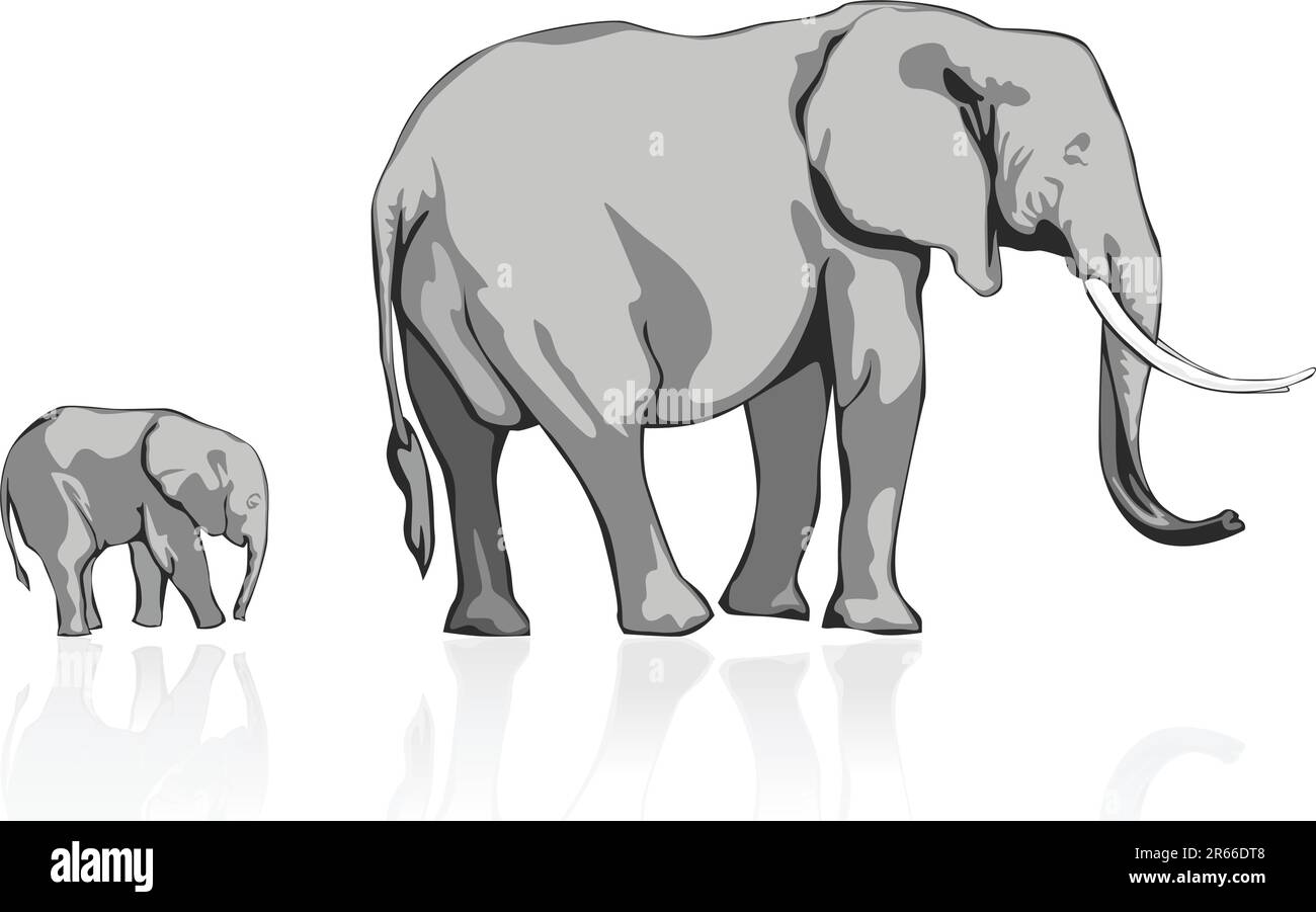 Elephant trunk curling Cut Out Stock Images & Pictures - Alamy