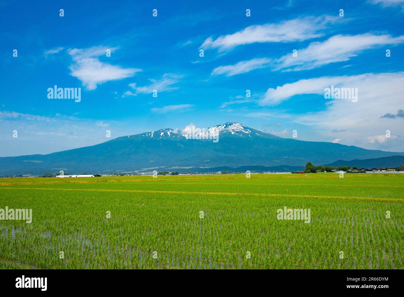 Chokaisan and rice paddies in the Shonai Plain Stock Photo - Alamy