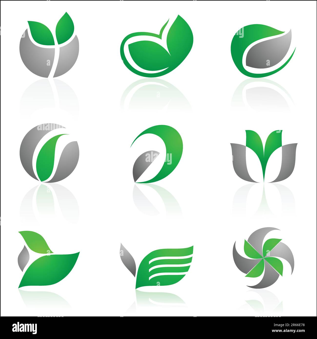 vector set of floral logos in green and gray color Stock Vector Image ...